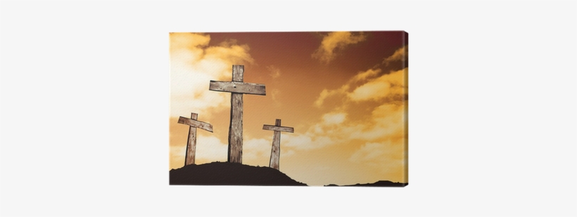 Photograph - 400x400 PNG Download - PNGkit