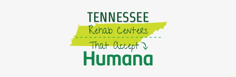 Humana - 351x351 PNG Download - PNGkit