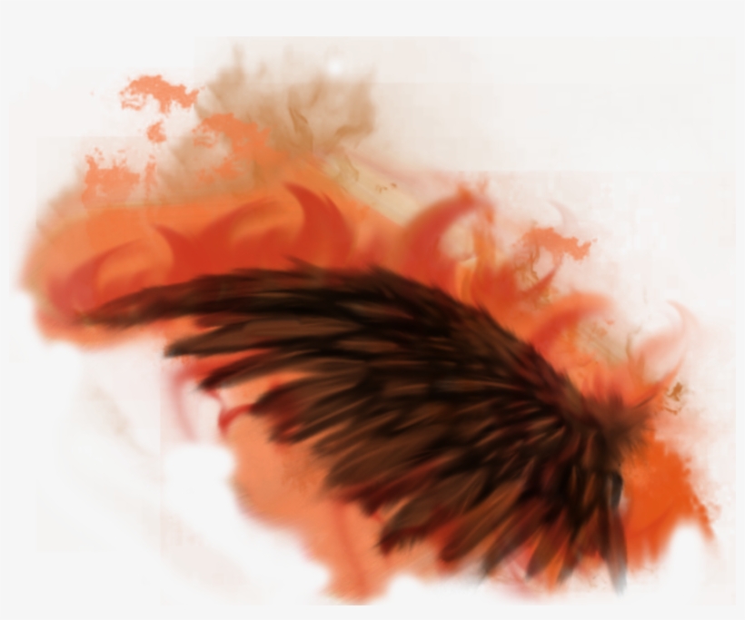 Fire Wing Png - Fire Wings Png Transparent - 900x706 PNG Download - PNGkit