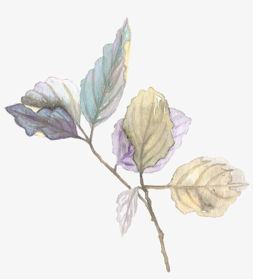 Leaf Branch - Portable Network Graphics - 2000x2000 PNG Download - PNGkit