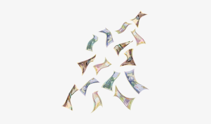 Falling Money Png - Falling Notes Png - 341x400 PNG Download - PNGkit