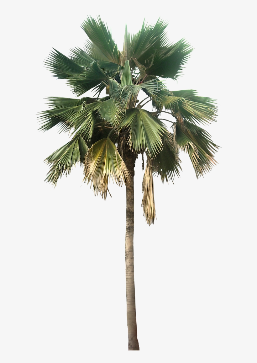 Free Icons Png - Open Rooftop House Design - 604x1101 PNG Download - PNGkit