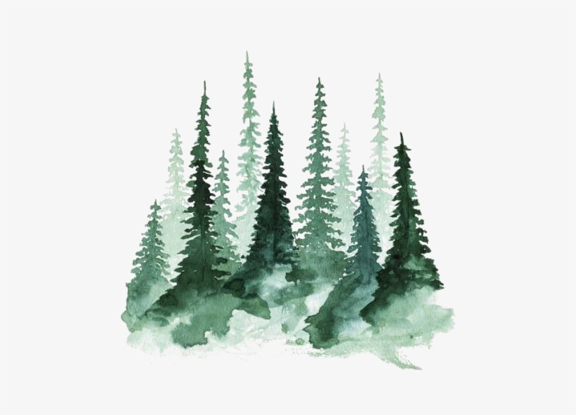 Forest Png Transparent Hd Photo - Watercolor Trees - 500x511 PNG ...