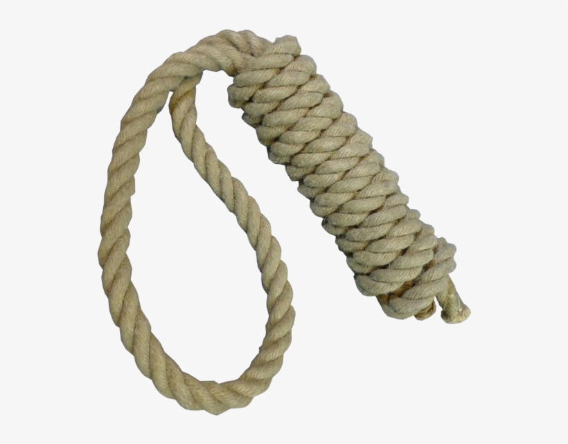 Isaac Parker's Noose - Noose Transparent Png - 588x594 PNG Download ...