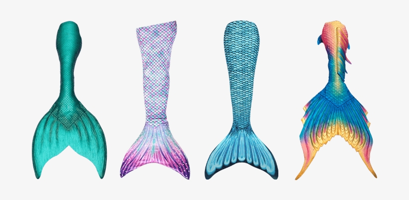 Mermaid Tail - Different Kinds Of Mermaid Tails - 800x325 PNG Download ...