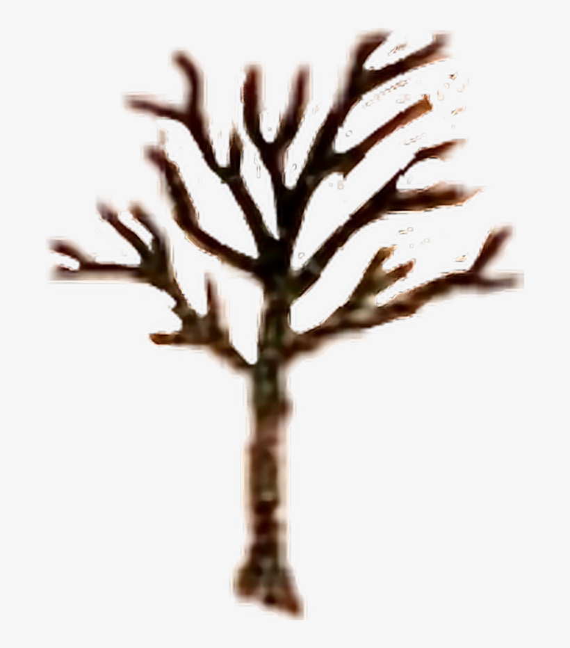 Report Abuse - Xxxtentacion Tree - 688x852 PNG Download - PNGkit