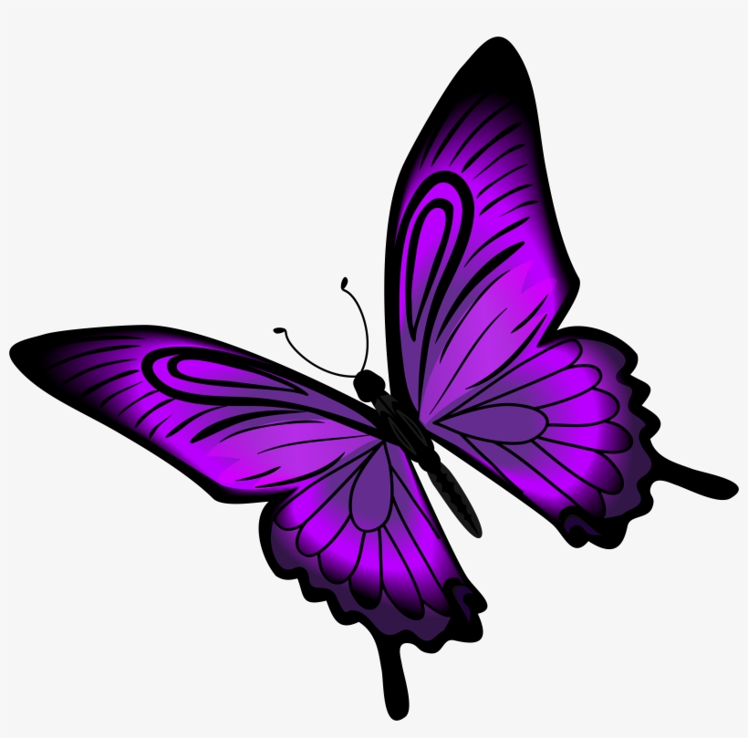 Optimized - 8000x7512 PNG Download - PNGkit