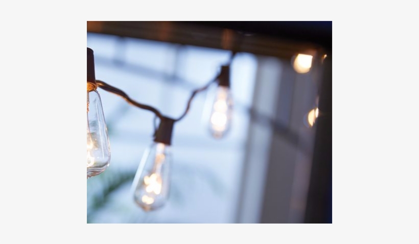 Canvas Vintage Edison String Lights - 480x604 PNG Download - PNGkit