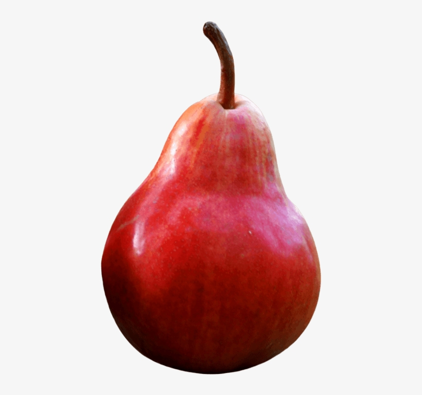 Free Png Red Pear Png Images Transparent - Pear Red Comice - 480x737 ...