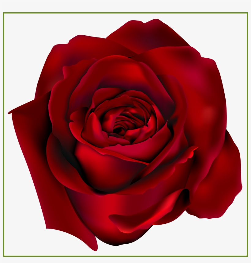Falling Flower Petals Png - Red Rose Clipart Transparent - 3117x3108 ...