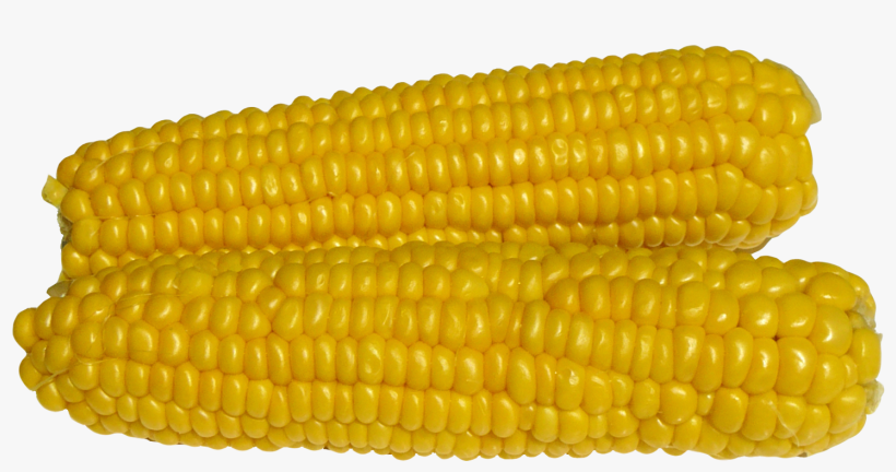 Free Png Corn Png Images Transparent - Maize - 850x462 PNG Download ...