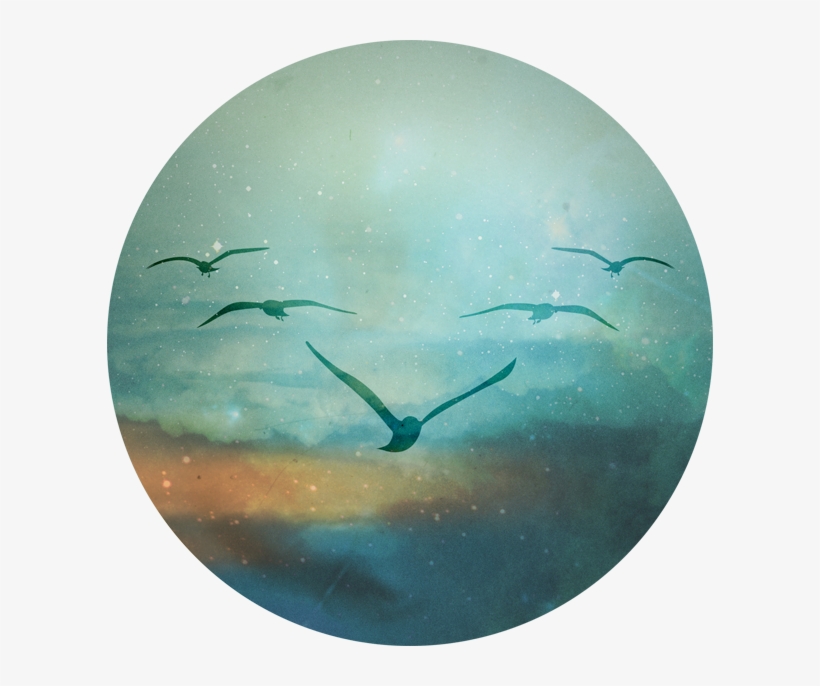 I'm Considering This As My First Tattoo - Jason Mraz Yes Album Cover ...