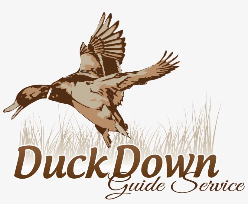 Download Transparent Png Logo Download - Logo Duck Hunt Png - PNGkit