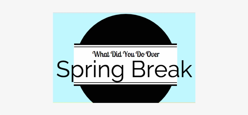 Breckyn Martens - Did You Do Over Spring Break - 817x299 PNG Download ...