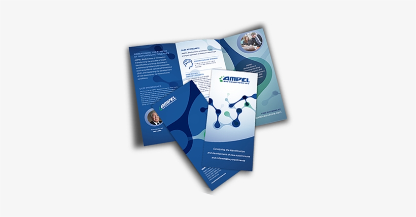 About - Ampel Biosolutions, Llc - 350x347 PNG Download - PNGkit