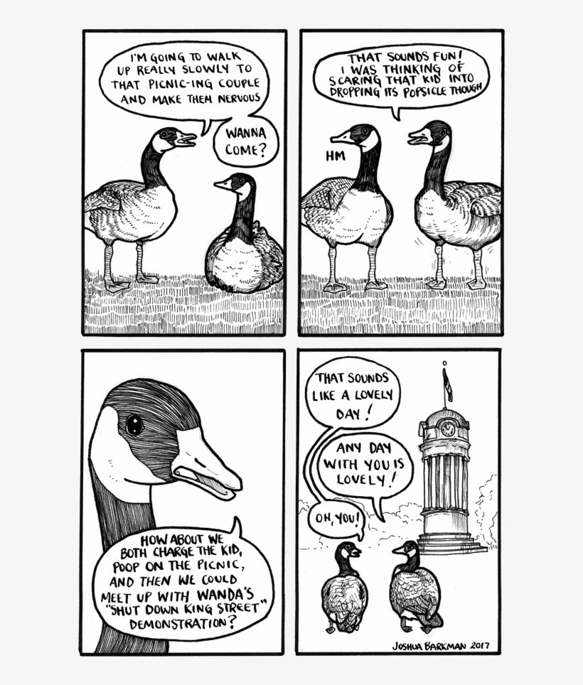 First - Geese Comic False Knees - 600x884 PNG Download - PNGkit