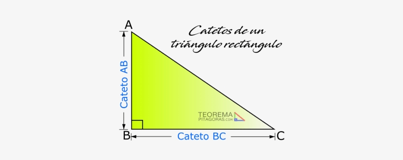 Los Catetos De Un Triángulo Rectángulo - Diagram - 400x300 PNG Download ...