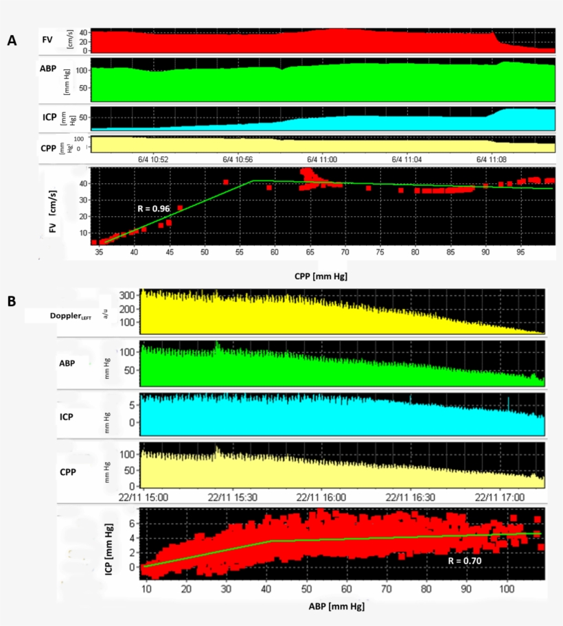 Supporting Information - 1308x1416 PNG Download - PNGkit