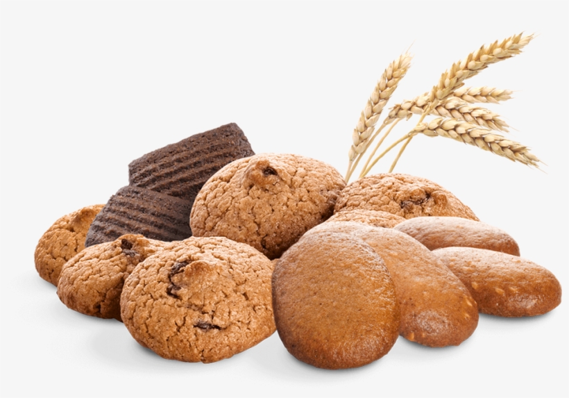 Principles Of Agriculture, Food, And Natural Resources - 1200x700 PNG ...