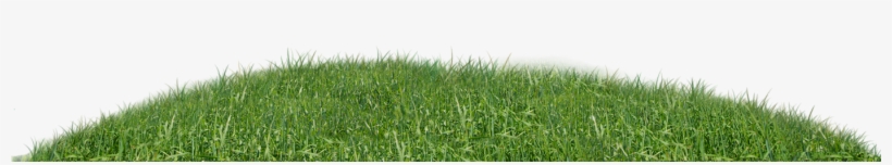 Original Size Is 1400 × 602 Pixels - Pasto Png - 1400x602 PNG Download ...