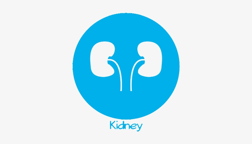 Fast Icon Blue Png - 400x400 PNG Download - PNGkit