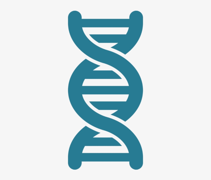 Biomedical Icon - Dna Clip Art - 620x814 PNG Download - PNGkit