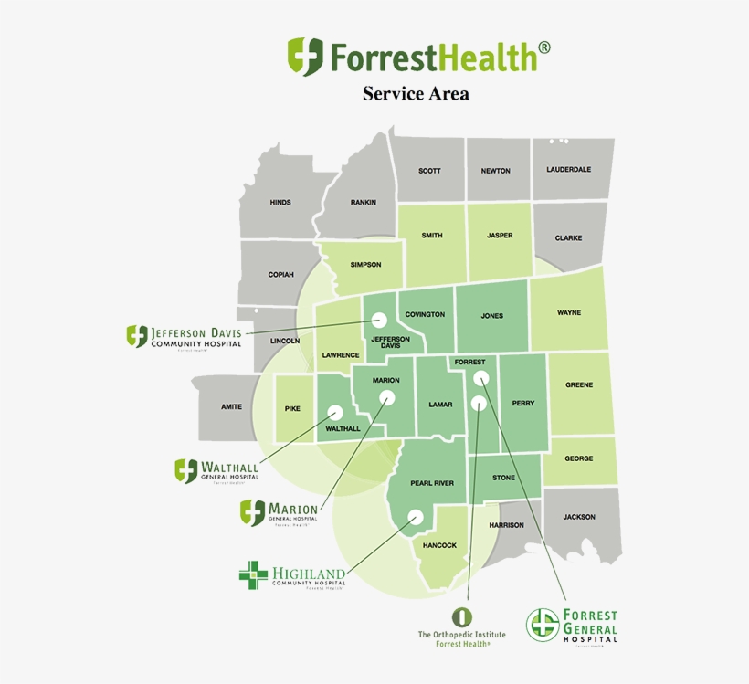 Forrest Health - 600x697 PNG Download - PNGkit