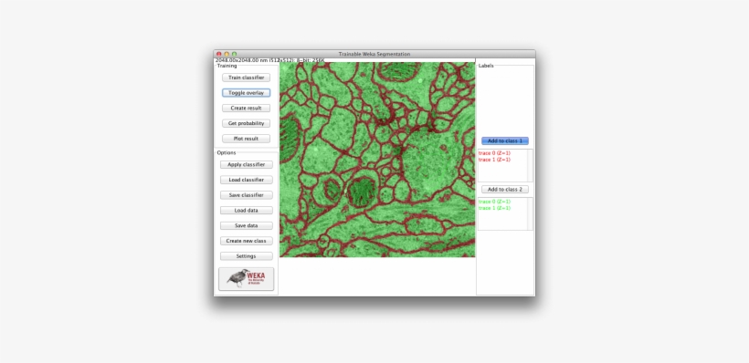 Download Transparent Deep Learning Segmentation Gui - PNGkit
