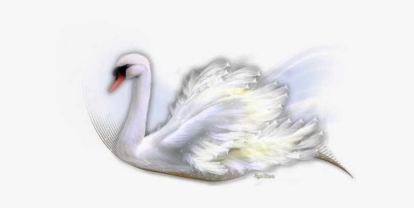 Swans - .net - 600x333 PNG Download - PNGkit