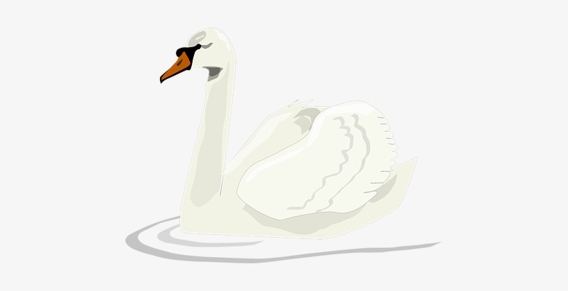 Swan Bird Swimming Beauty Animal Elegant W - Animated Swan - 457x340 ...
