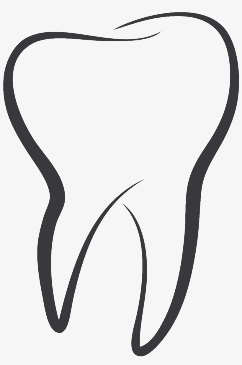 Tooth Icon - Tooth - 909x1309 PNG Download - PNGkit