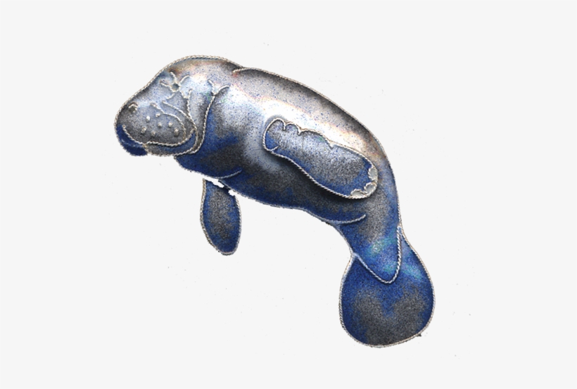 Manatee Pin - 900x900 PNG Download - PNGkit