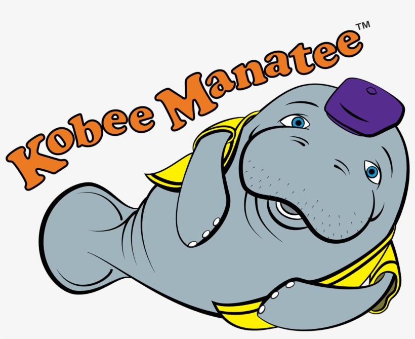 This Blog Is A Continuation On The Unique Florida Manatee - Kobee ...