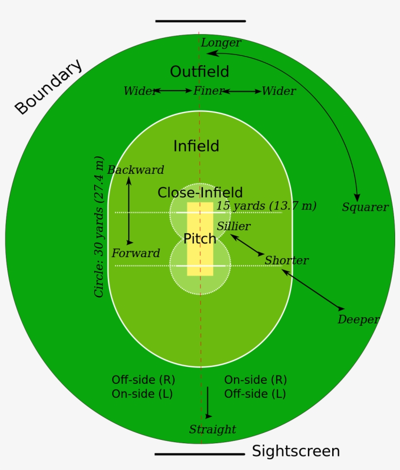A Typical Cricket Field - Rules Of Cricket - 545x600 PNG Download - PNGkit