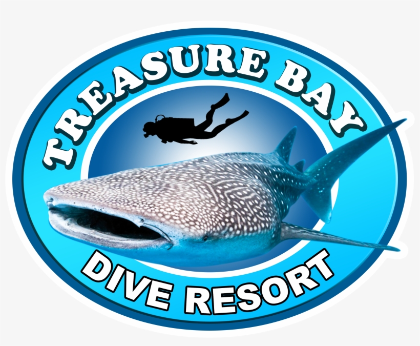 Treasure Bay Dive Resort Philippines - Scemo E Più Scemo - 2857x2214 ...