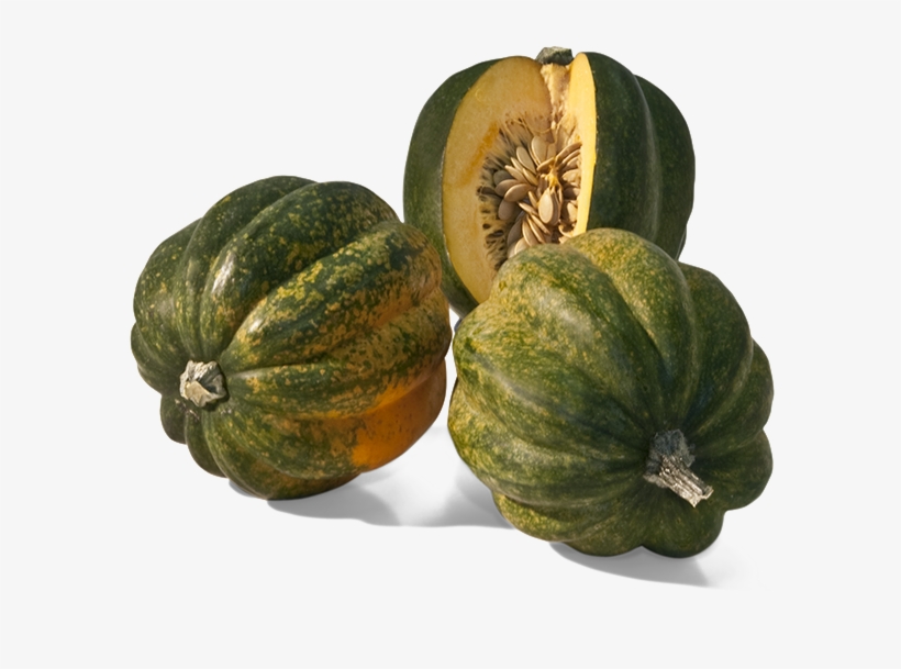 Acorn Squash Transparent Background - Squash Transparent Background ...