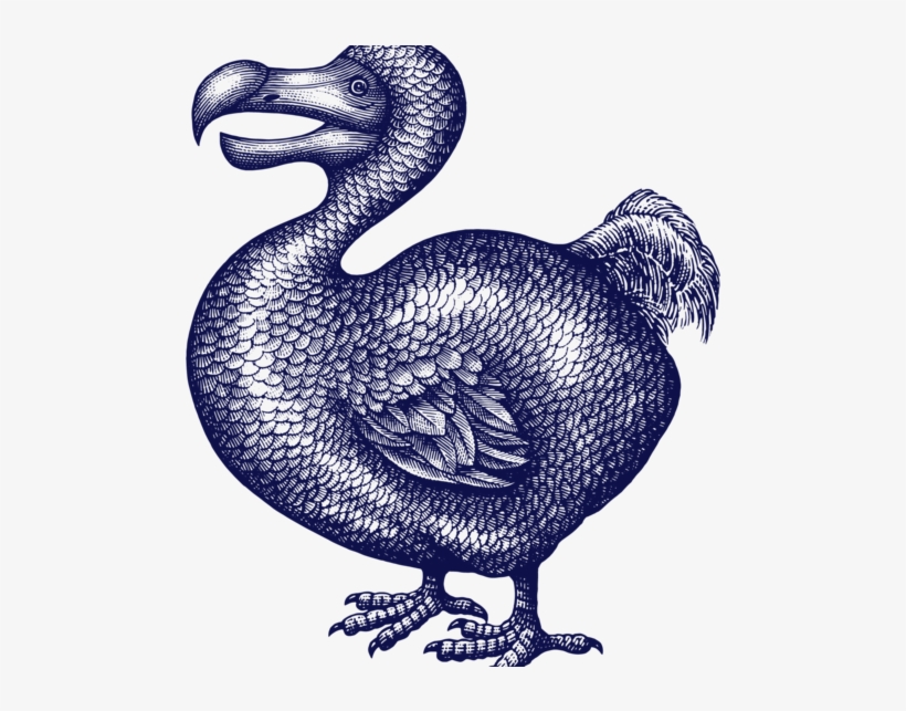 Dodobackground-01 - 1000x562 PNG Download - PNGkit