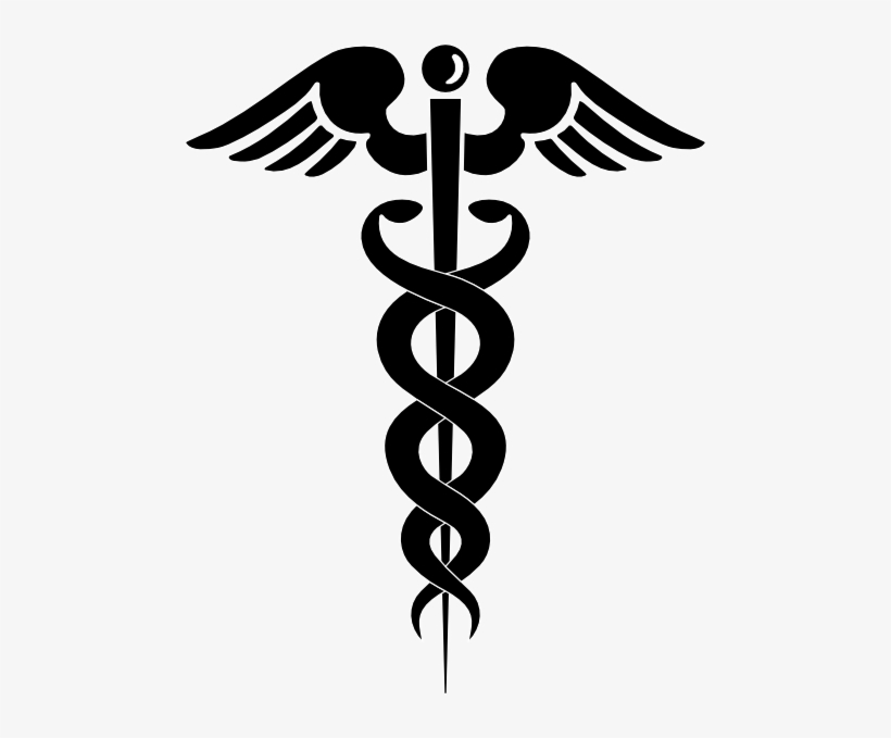 Caduceus Png - 480x599 PNG Download - PNGkit