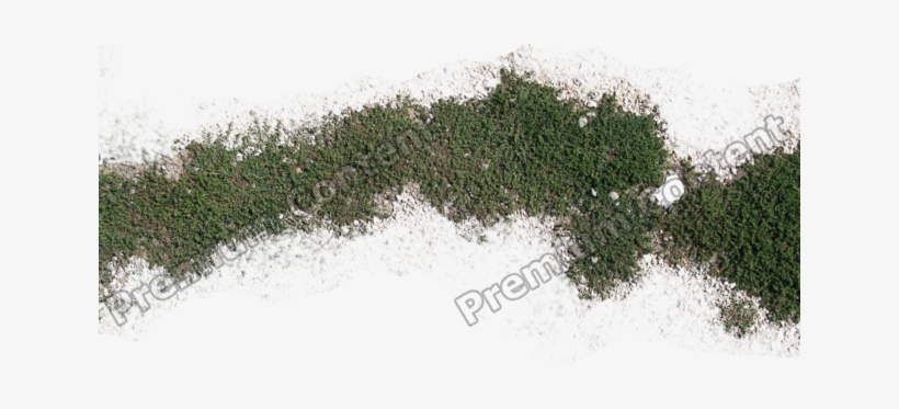 Download Transparent Plants Decals - Grass Decal Texture - PNGkit
