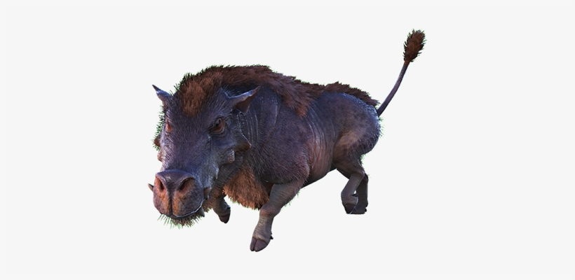 Download Transparent Daeodon - Ark Boar - PNGkit