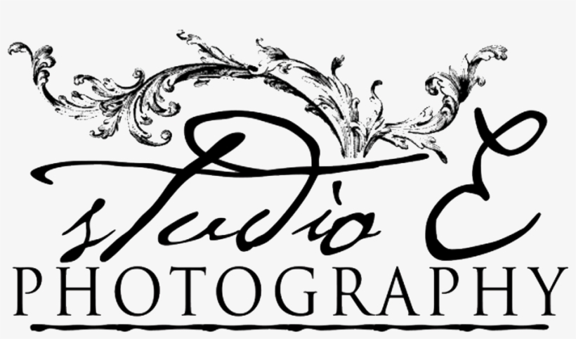 Studio E Photography - Photographer - 1920x768 PNG Download - PNGkit
