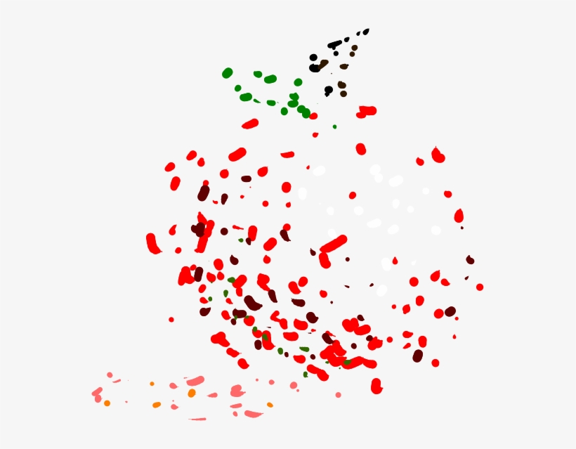 Computer Graphics - Circle - 559x559 PNG Download - PNGkit