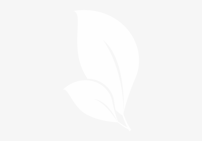 Download Transparent Leaf 2 Icon - Illustration - PNGkit