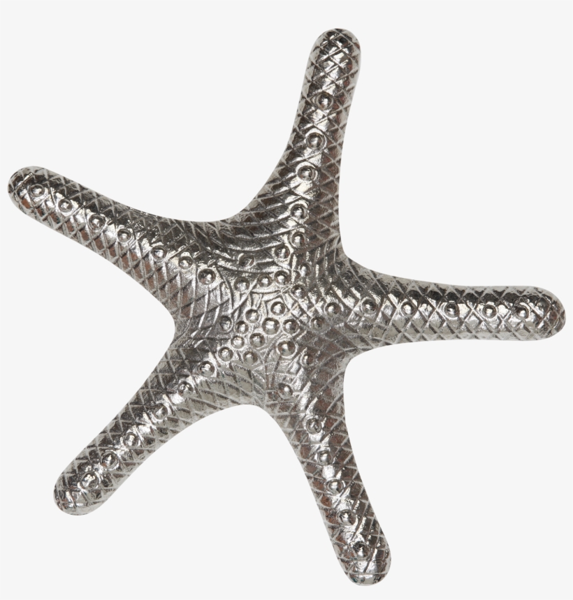 130037 Silver Starfish - Starfish - 1600x1600 PNG Download - PNGkit