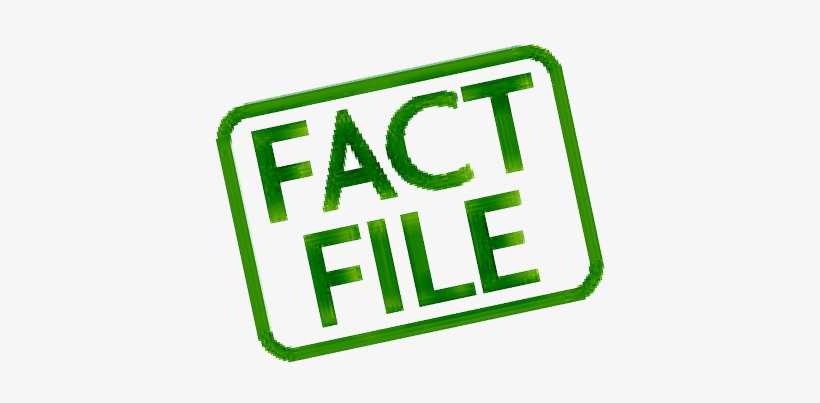 Personal Fact File - 395x331 PNG Download - PNGkit
