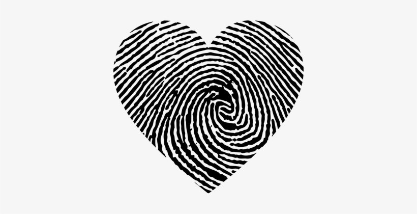 Heart, Love, Fingerprint, Swirls - Fingerprint Clipart - 374x340 PNG ...