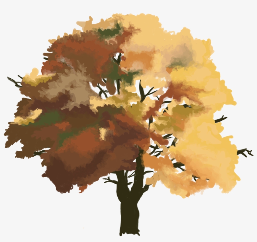 Swamp Maple - 1200x1200 PNG Download - PNGkit