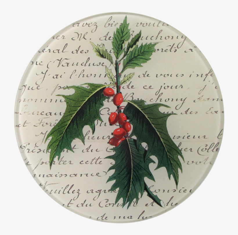 Holly Png - 800x800 PNG Download - PNGkit