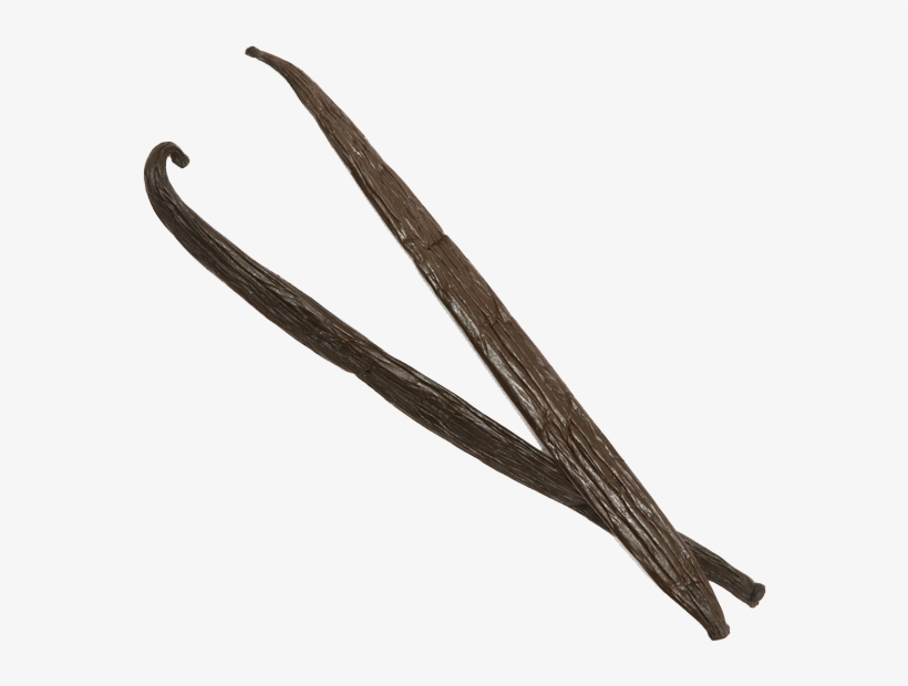 Vanilla Bean Png Pic - Vanilla Bean Png - 600x600 PNG Download - PNGkit