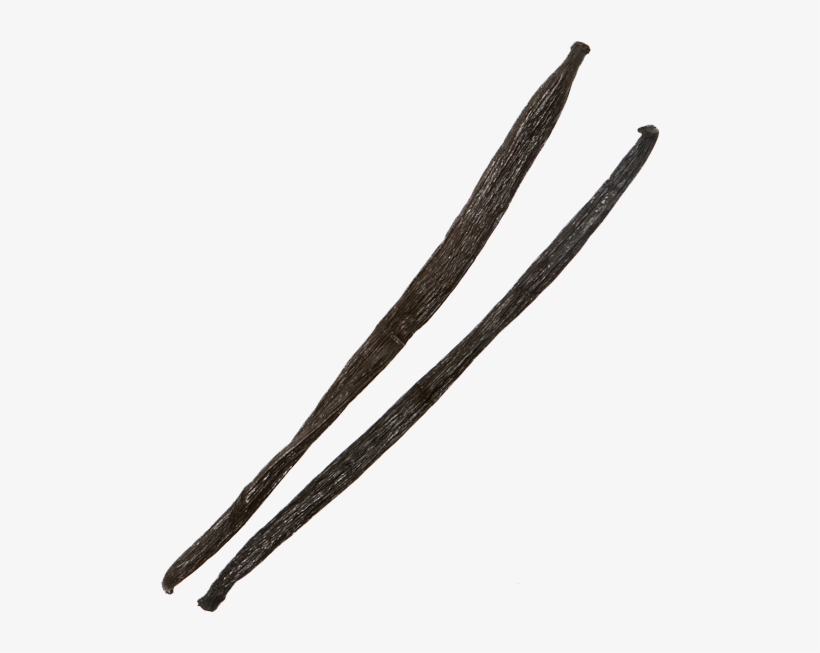 Vanilla Bean Png Transparent Image - Vanilla Bean Png - 600x600 PNG ...